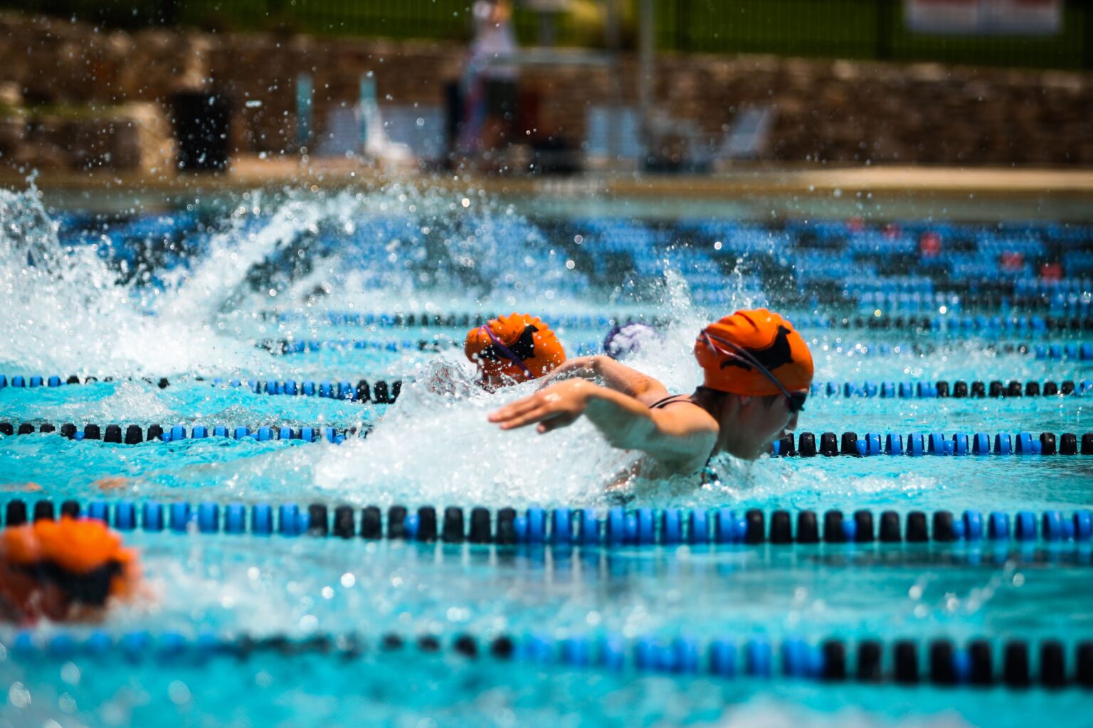 How to Organize a Swim Meet: A Step-by-Step Approach - SwimTopia